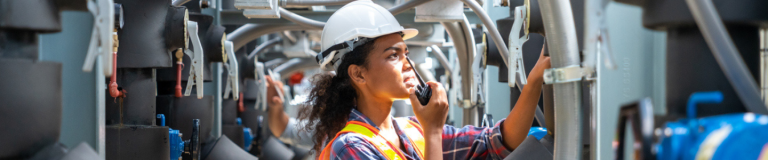 Executive Insights from the Race at Work Charter - Business in the ...