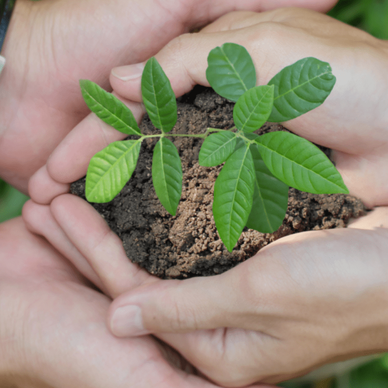 Our Impact: Leading with Purpose - Business in the Community